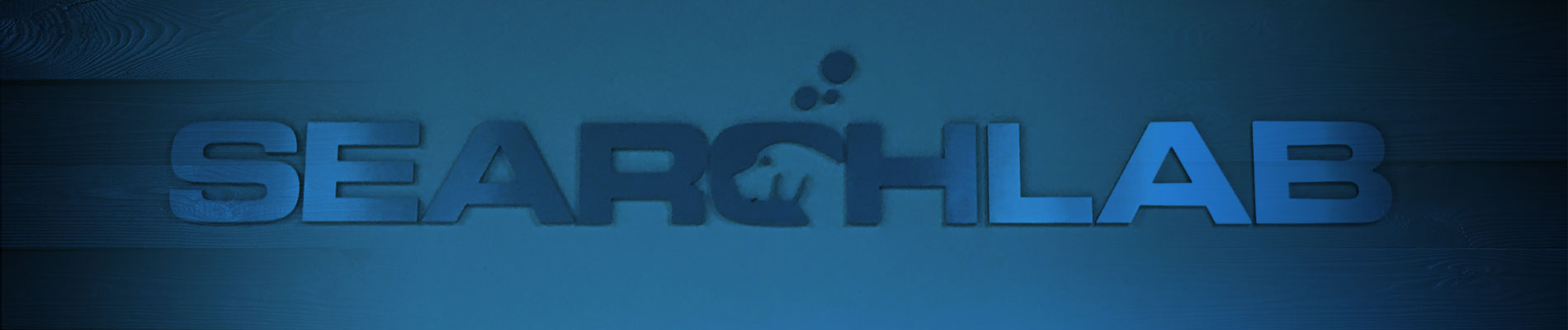 Learn more about SearchLab - SearchLab Digital